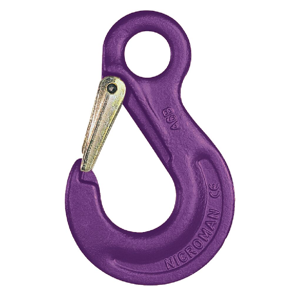 Load Hook HS/S Grade 10 - Eye/Latch | Certex Finland